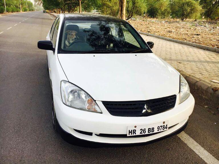 Used Mitsubishi Cedia NEW SPORTS 2010 Model (PID-1415867166) Car for ...