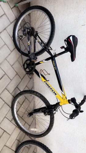 Used Firefox Fusion 24 Inches 2018 Model (PID-1416869688) Bicycle for ...